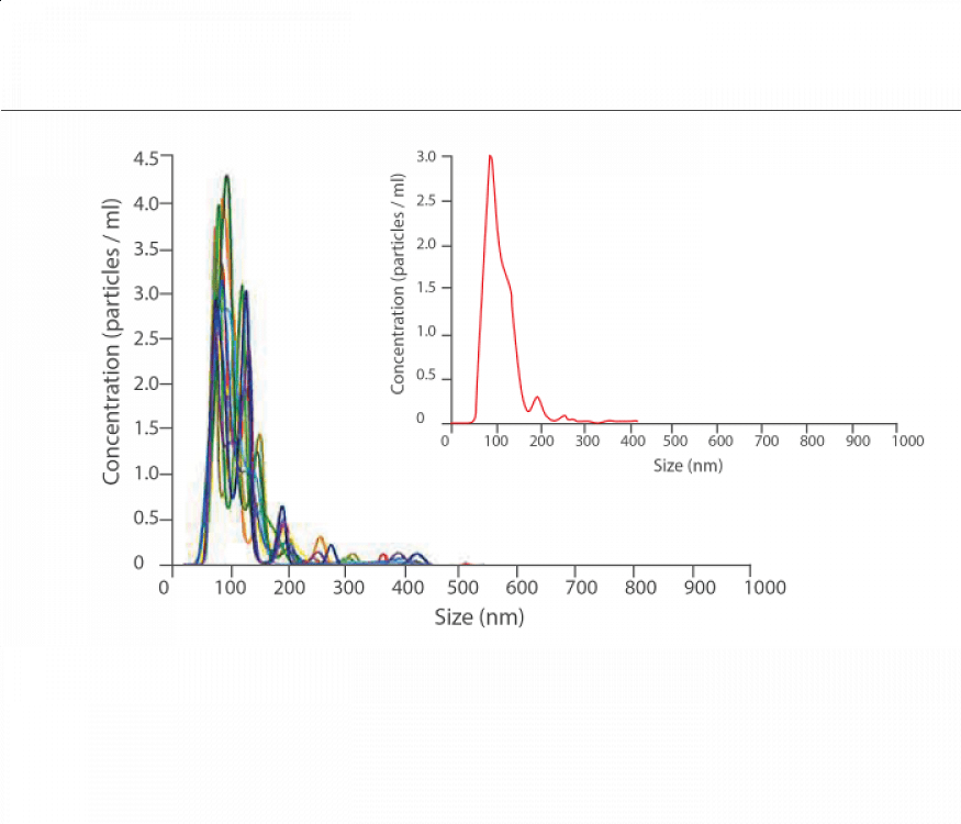 Exomine Exosomes Set | Germanos medicals